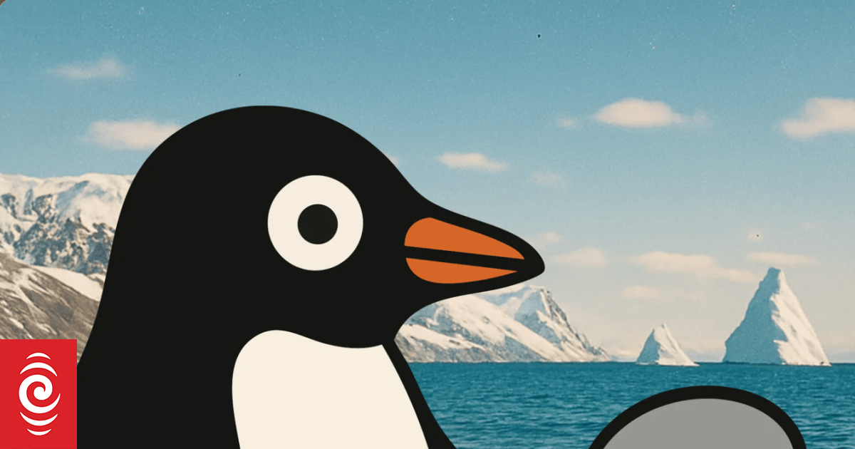 'Pebbles for penguins': You can now buy from tariffed-hit Heard Island ...