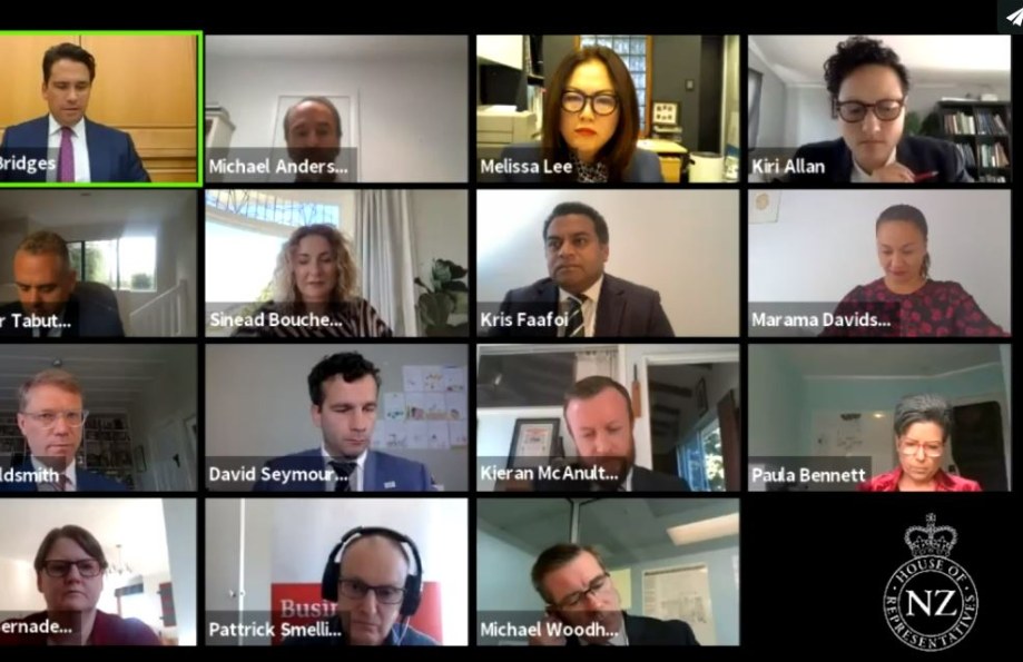 Power Play: Time for government-dominated select committees to step up ...