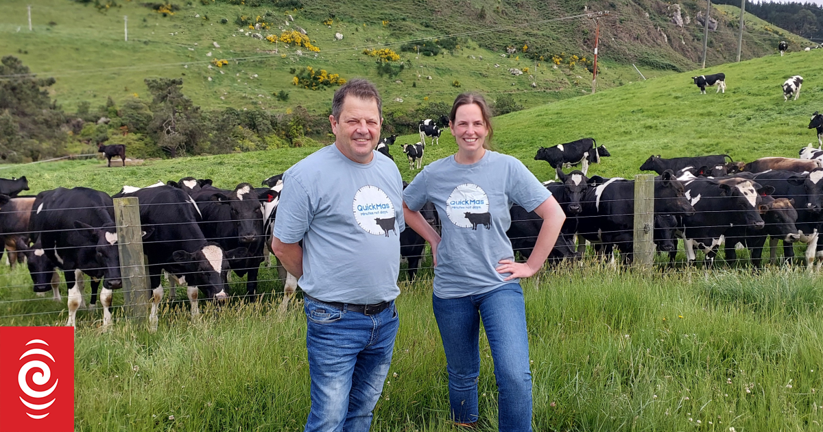 Detecting and diagnosing mastitis in 15 minutes in the field | RNZ News
