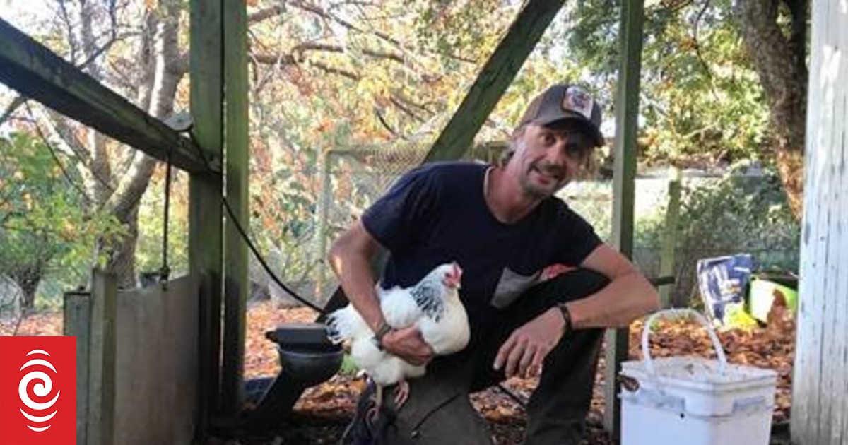 Making soil the superhero and hot and cold composting | RNZ