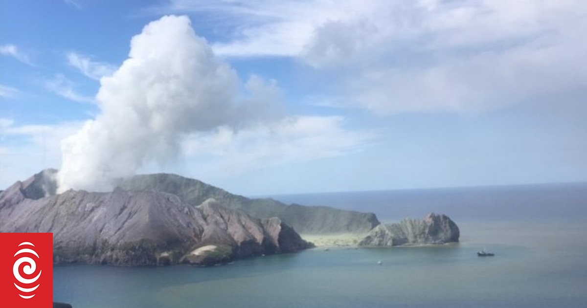 Whakaari eruption: Buttle family challenge guilty finding over safety ...