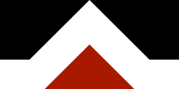 Flag designs show strong Māori elements | RNZ