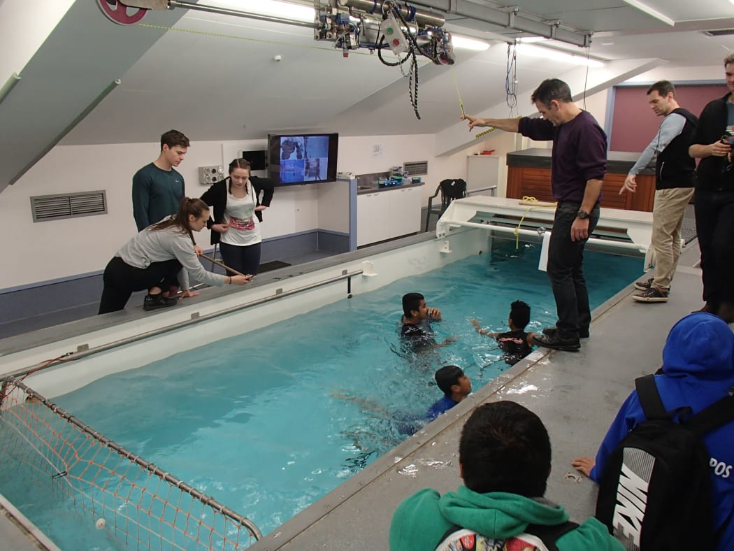 Project Activate - swimming in a flume | RNZ