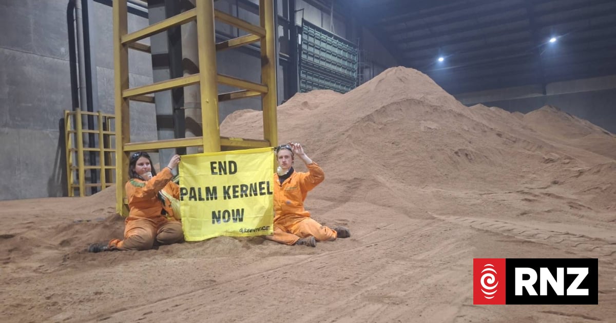 Palm kernel protesters breach security at Port Taranaki | RNZ
