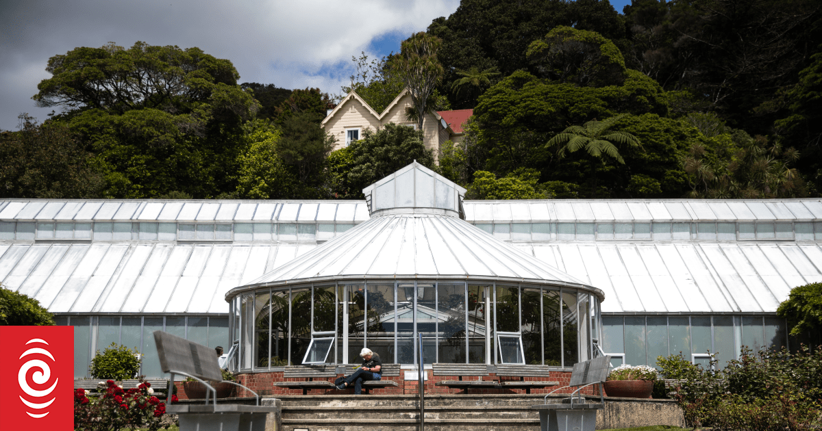 Wellington City Council considers spend on Khandallah Pool, Begonia ...