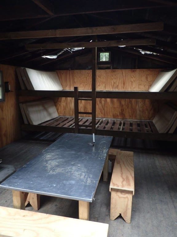 The Hope Arm Track in Fiordland | A Gallery from Afternoons | RNZ National