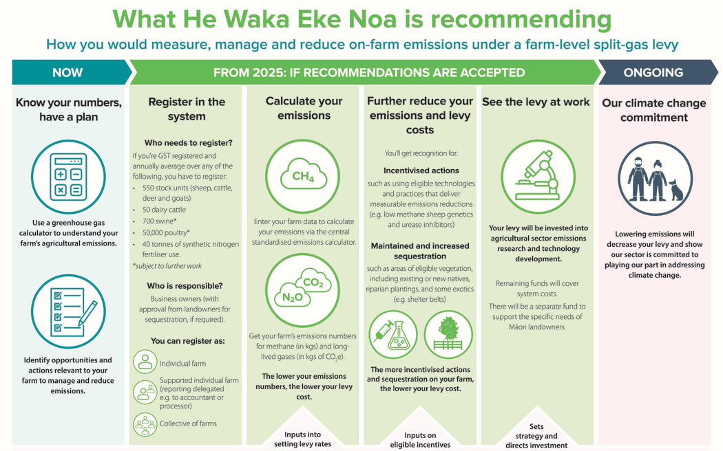 Nine To Noon for Wednesday 8 June 2022 Nine To Noon | RNZ