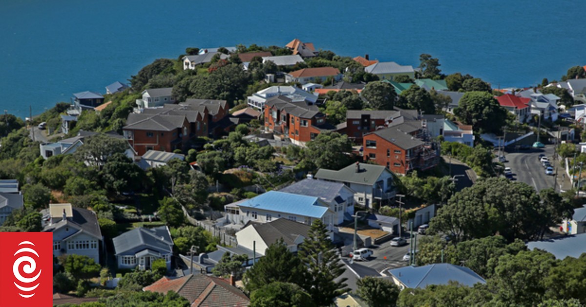 Wellington iwi with big social housing plans | RNZ
