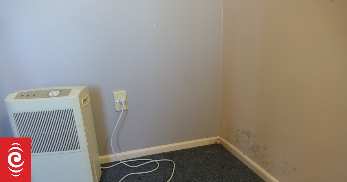 Tenants still battling mould and damp, despite healthy homes standards ...