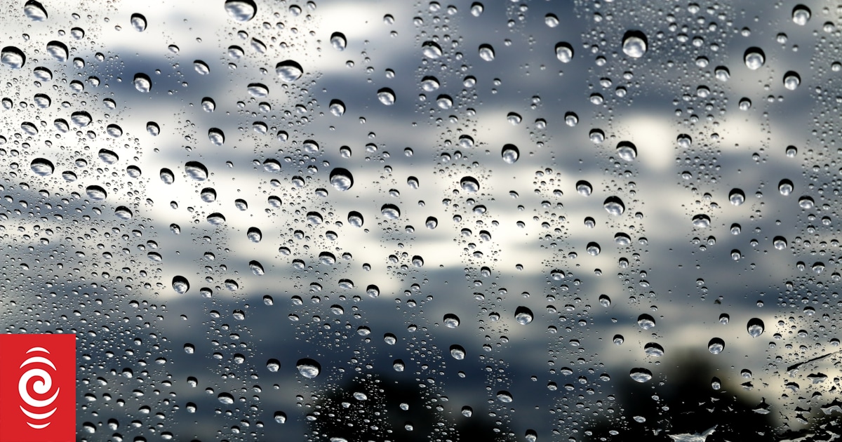 Road slips, trees fall in heavy Wellington rain | RNZ News