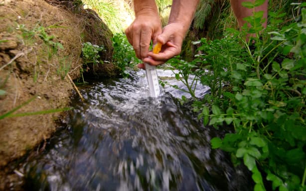 'Sobering reading': Waterways worsening around the country, report ...