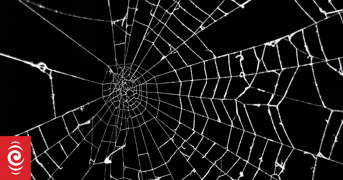 Freaky Friday: Tom in Marahau | RNZ