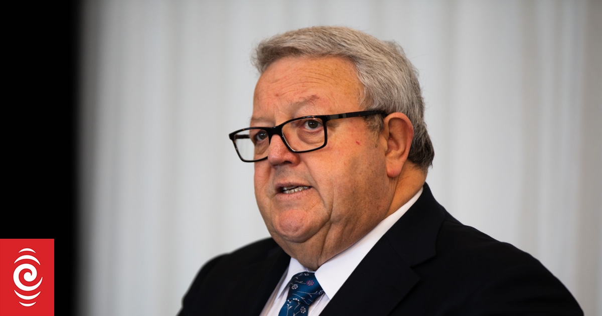 Brownlee taking rap for campaign failures - commentator | RNZ News