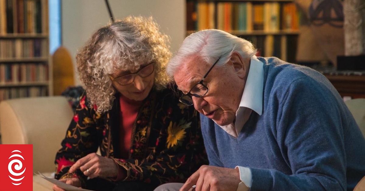 Anna Cottrell - documentary queen | RNZ