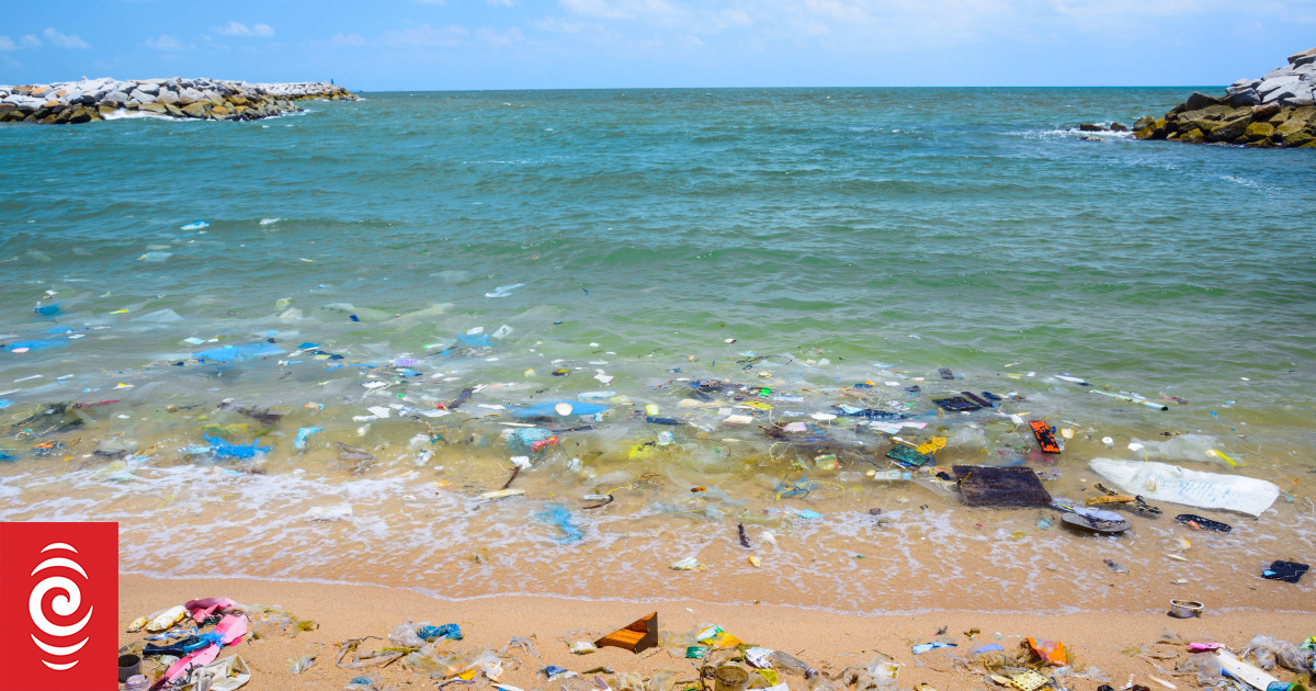 UN Ocean Conference 2022: Ocean pollution like all forms of pollution ...