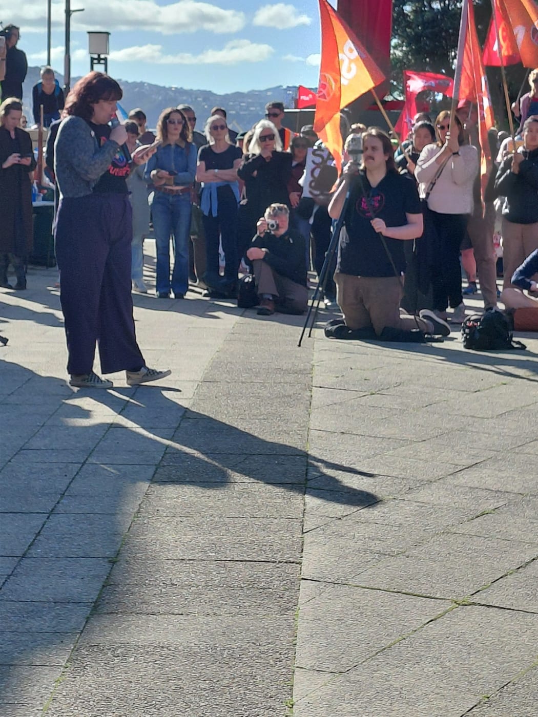 Hundreds gather in Wellington for PSA protest against proposed public ...