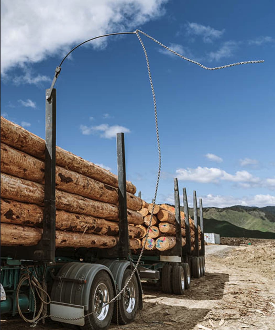 Made in NZ: WASP a locally made chain throwing device | RNZ