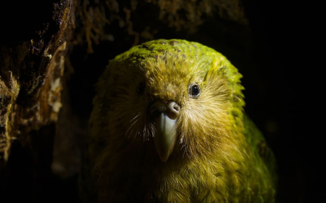 Our Changing World | RNZ News