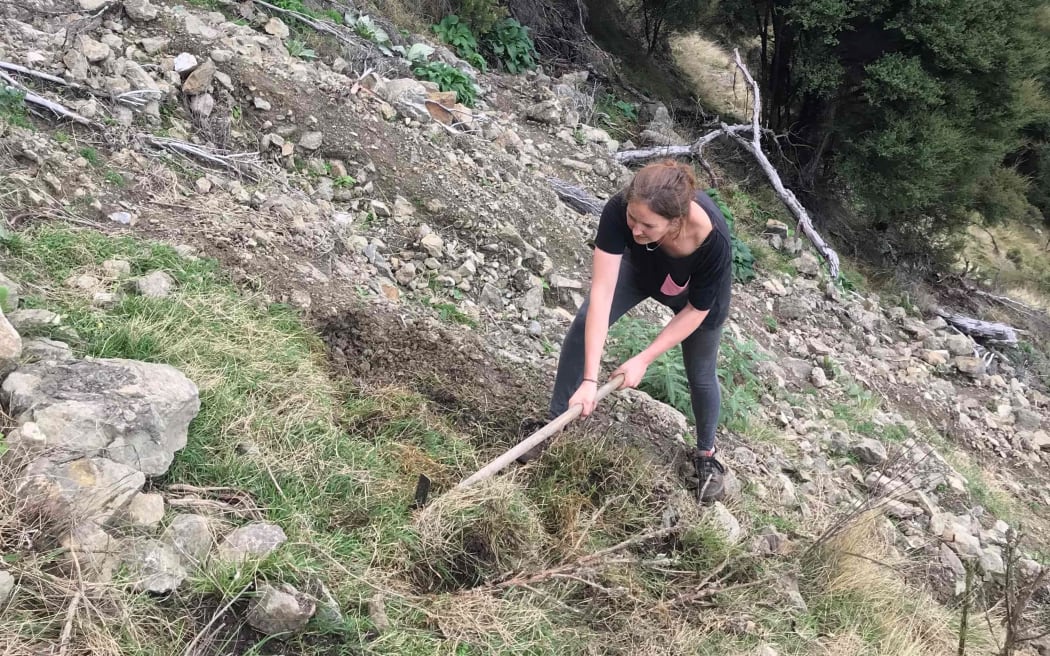 Downhill adventures for diversifying farmers | RNZ