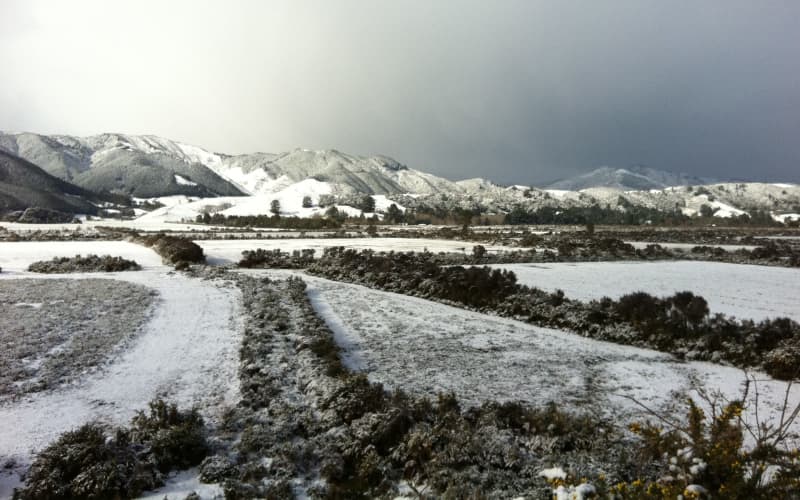 Snow falls early on Southland farms | RNZ
