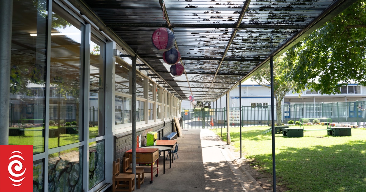 Ministry of Education starts urgent cleanup at Panmure school | RNZ News