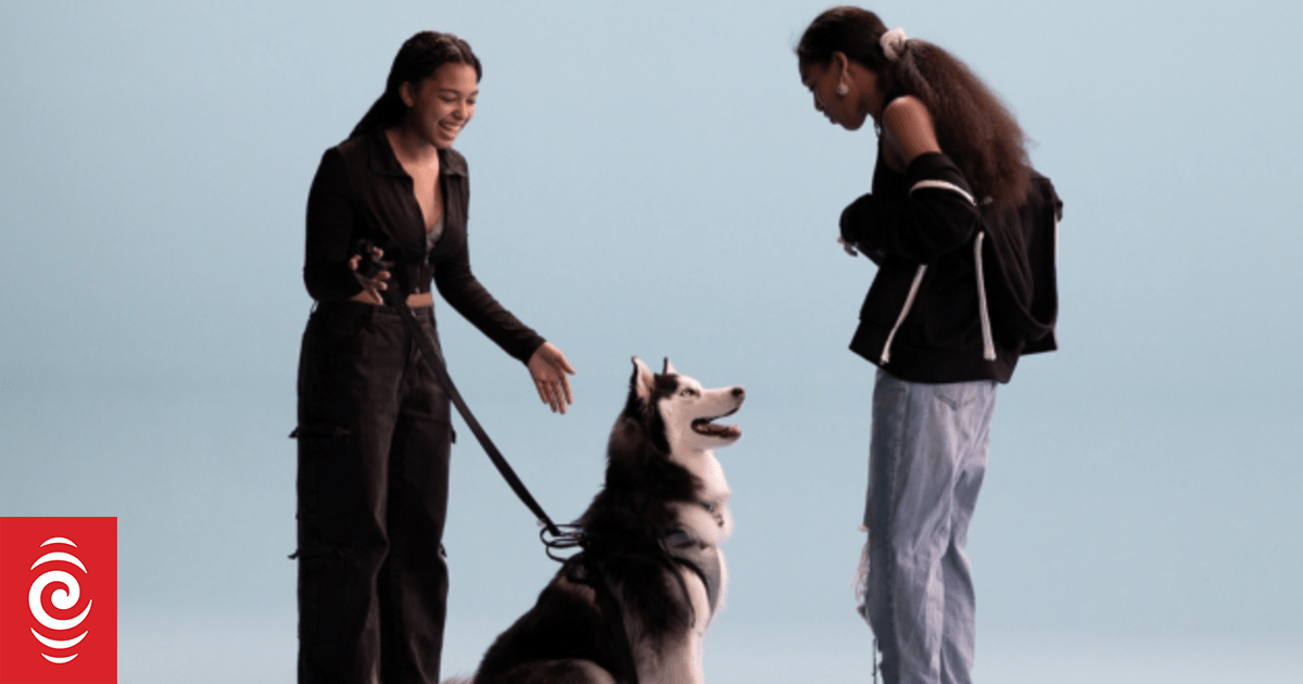 Short-Cuts with Dan Slevin | RNZ