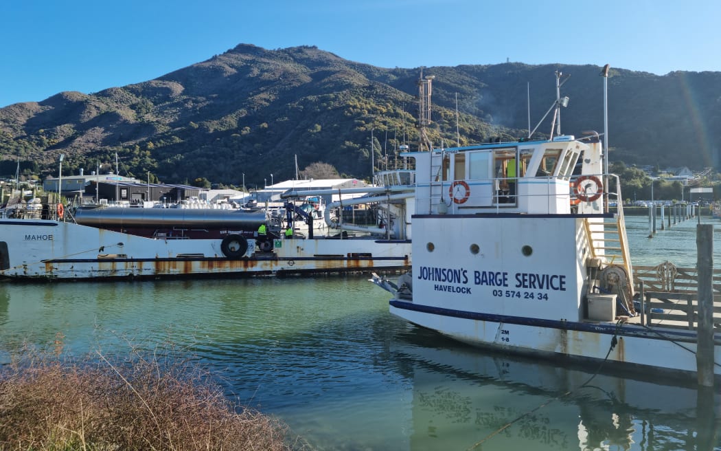 Minister meets with Nelson council to check on progress after floods ...