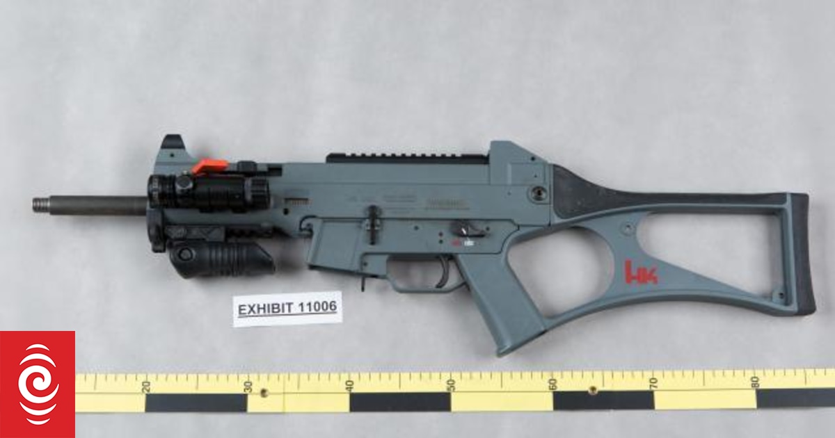 Assault weapons 'relatively easy' to get, MPs warned | RNZ News