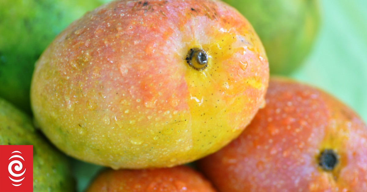 Mango imports from India surge | RNZ News