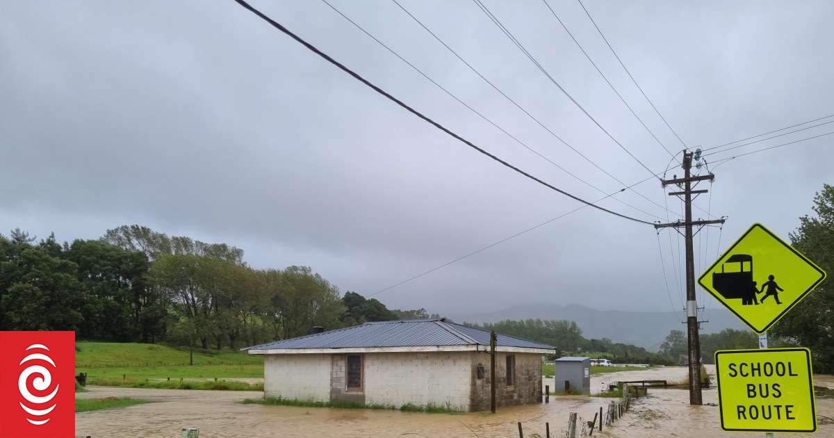 Expect kūmara shortage this year, Northland farmers warn as region ...