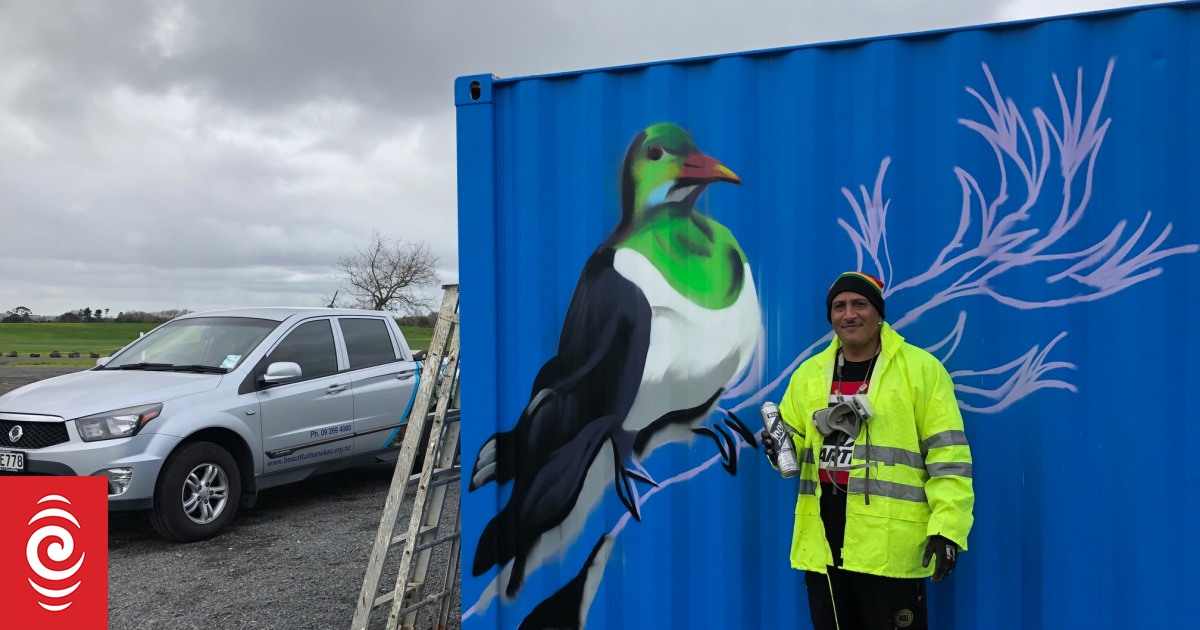 Turning graffiti in South Auckland into street art to be proud of | RNZ