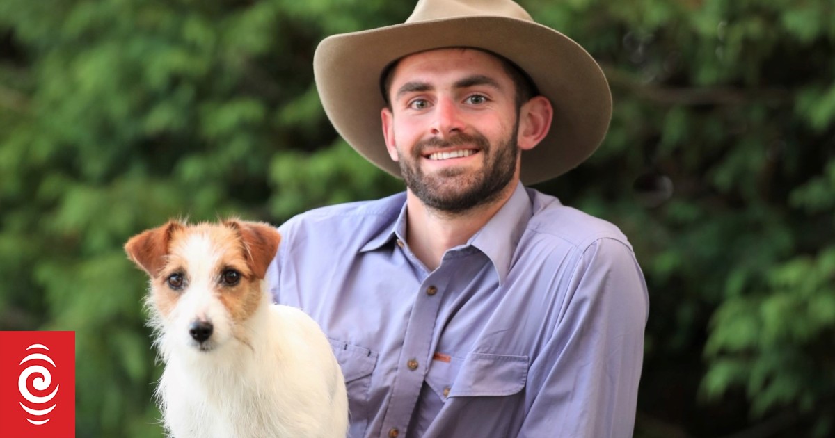 'Wouldn't want to do anything else' says head shepherd at Otapawa ...