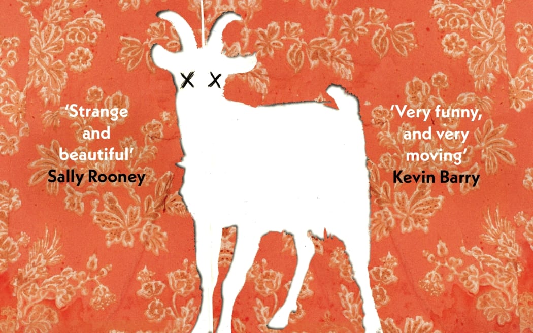 Book review: Wild Houses by Colin Barrett | RNZ