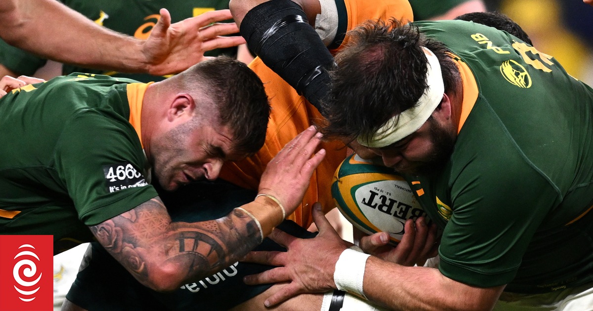 Rugby Championship as it happened: Wallabies v Springboks | RNZ News