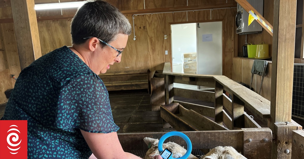 Pioneering kiwi research for hydrocephalus patients | RNZ