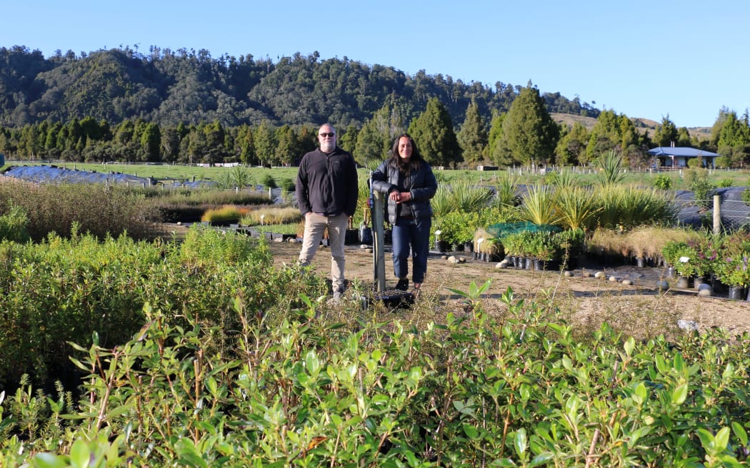 Half price natives - and planted for free | RNZ
