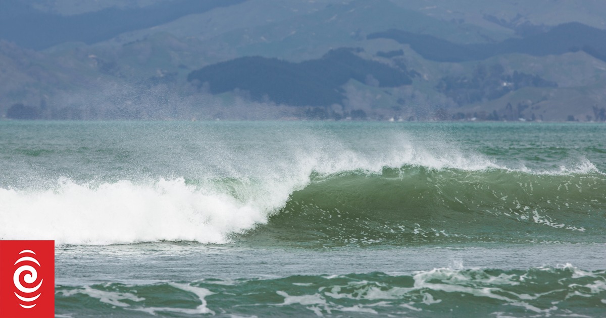Science surf report | RNZ