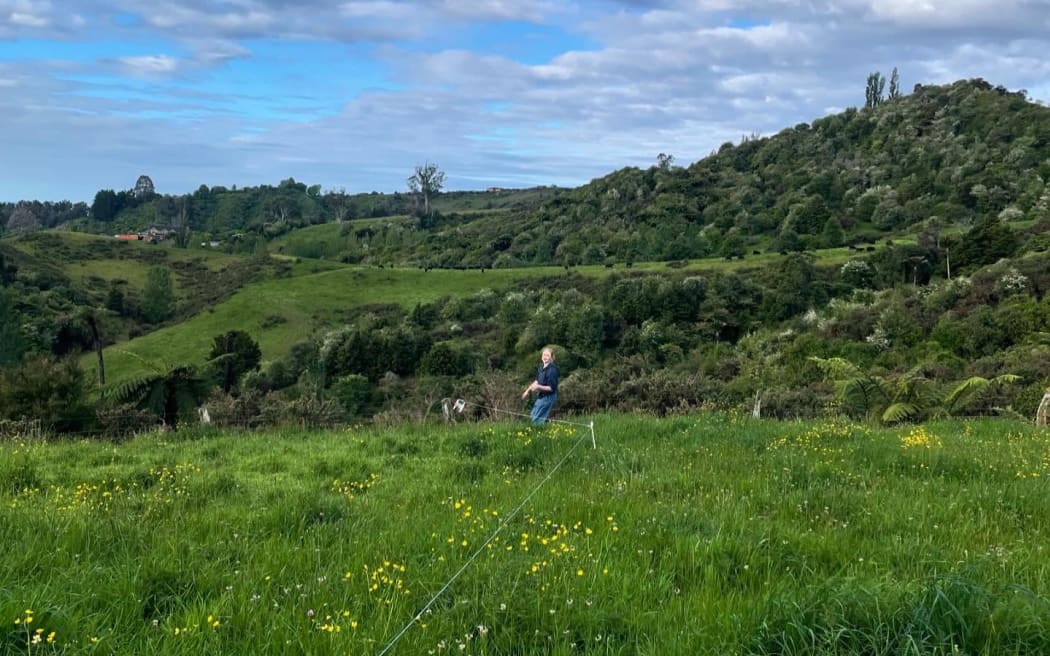 Country Life: Spicing up the soil at Ellis Creek Farm in Golden Bay ...