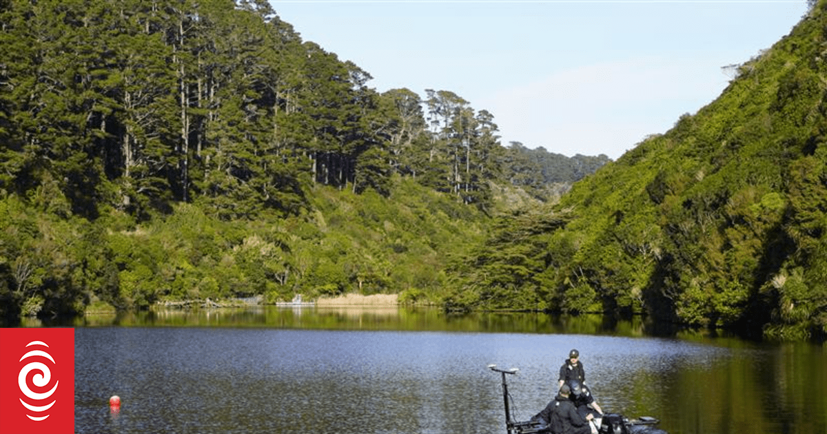Navy enlisted in Zealandia lake survey effort | RNZ News