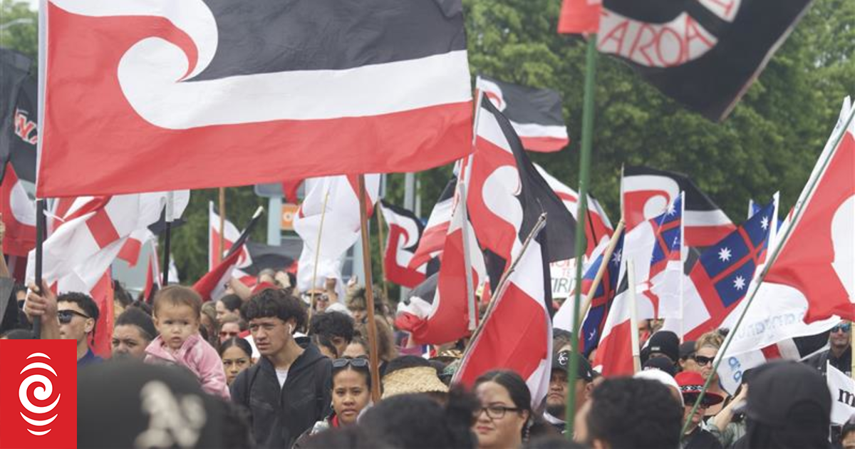 3000 join Māori electoral roll after Treaty Principles Bill hīkoi | RNZ ...