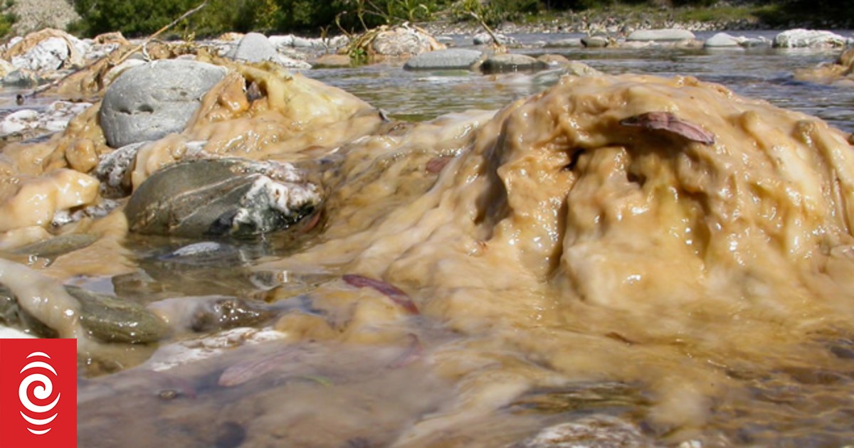 Concerns 'sobering' freshwater report will fail to trigger needed ...