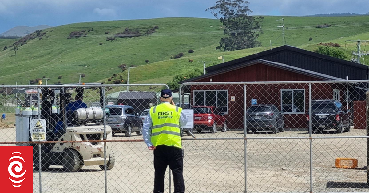 'No signs' of avian influenza outside of Otago farm, tests continue ...
