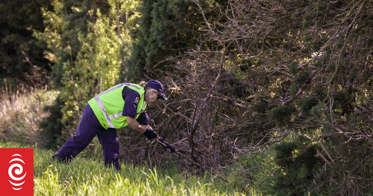 Yanfei Bao失踪一年：案情时间线 | RNZ News