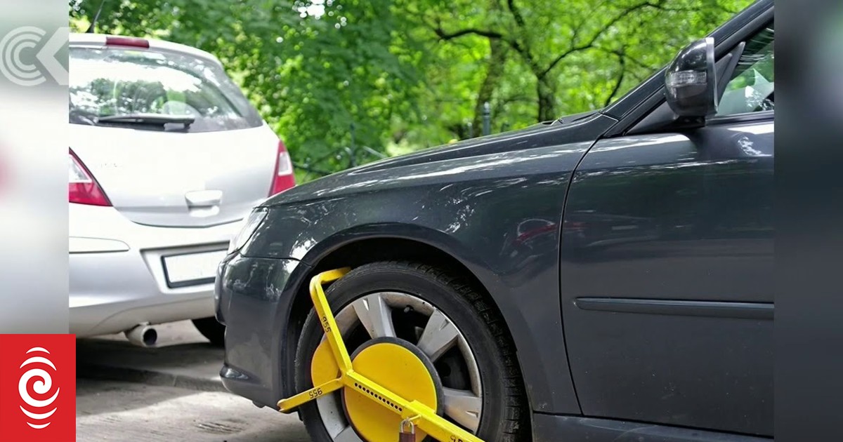 The Panel with Janet Wilson and Raybon Kan (Part 1) | RNZ