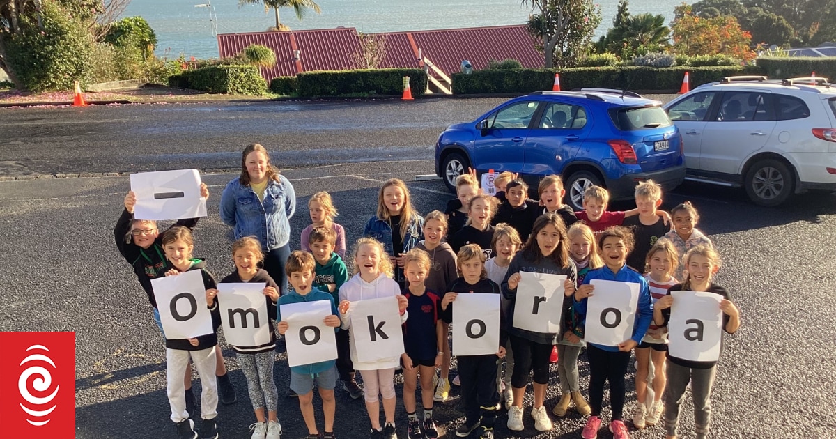 Operation Tohutō over macron a total success | RNZ News