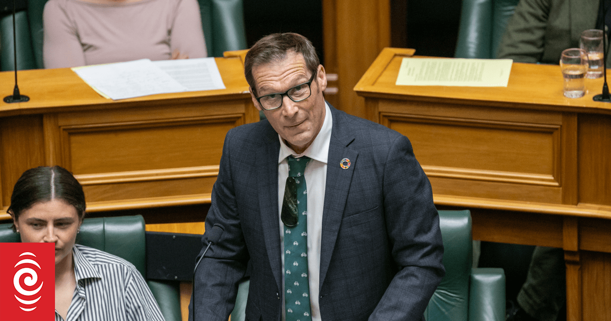 From combative words to first words as new MP gives maiden statement ...