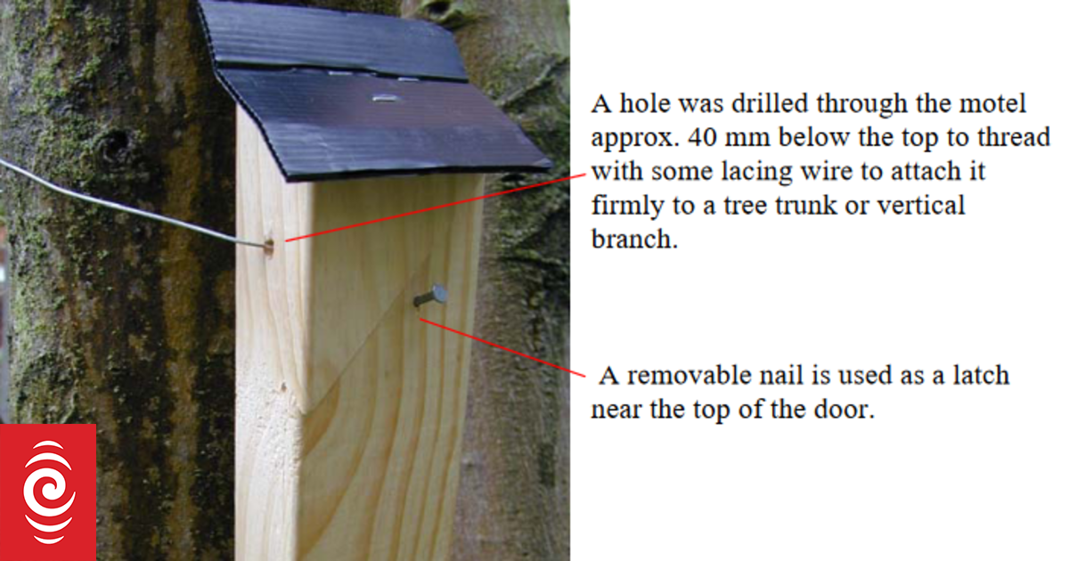 Weta motels - how they get made! | RNZ