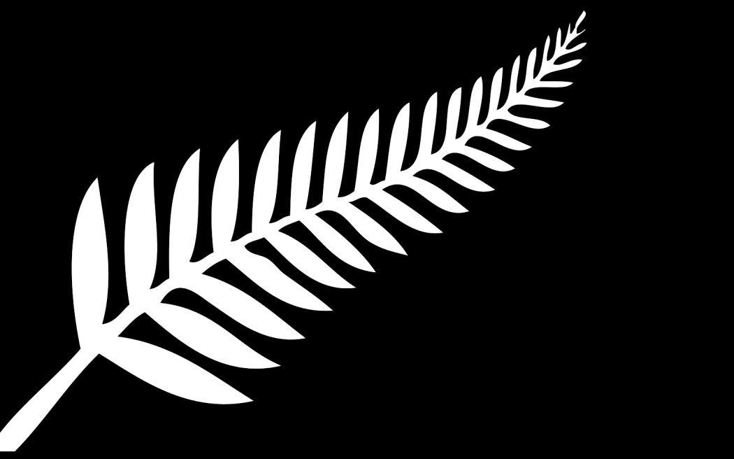 The power of the silver fern | RNZ
