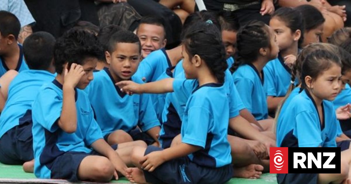 Charter schools vary approach to Maori | RNZ