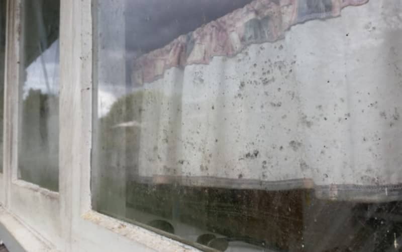 Mouldy, damp homes linked to respiratory infection hospitalisations | RNZ